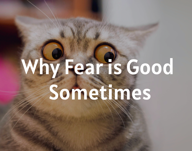 Why Fears Are Good Sometimes | Mysticsense