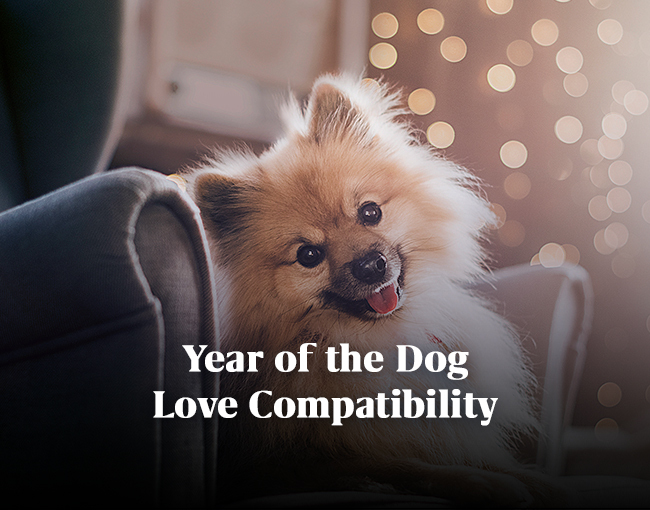Zodiac Love Compatibility for Year of the Dog | Mysticsense