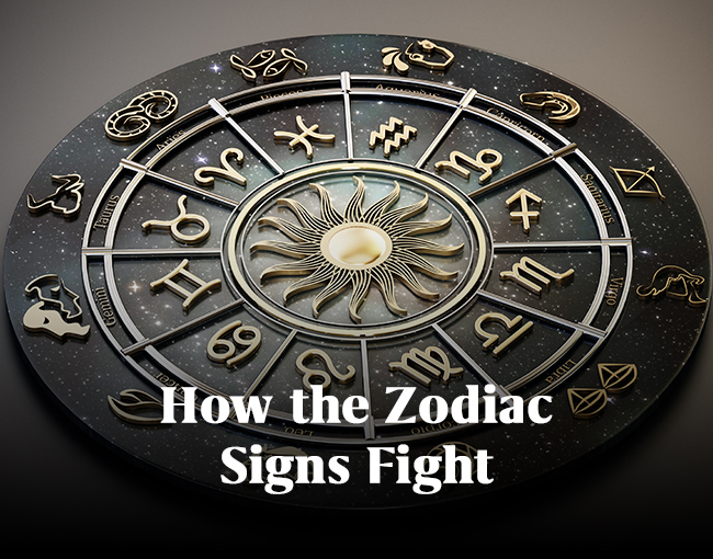 How the Zodiac Signs Fight | Mysticsense