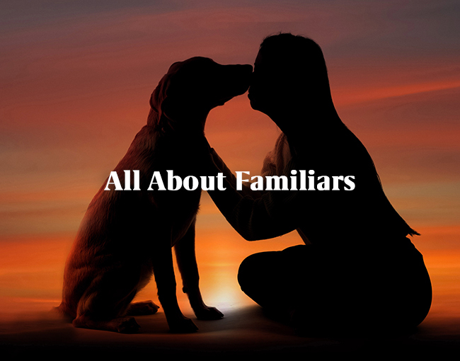 What are Familiars? | Mysticsense