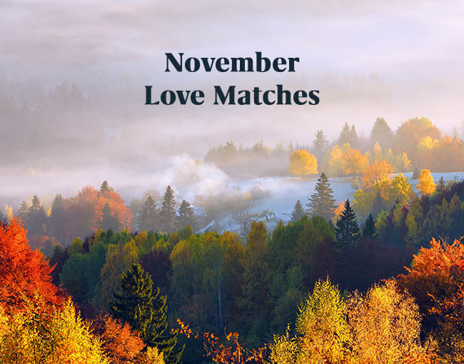 Love Matches for November | Mysticsense