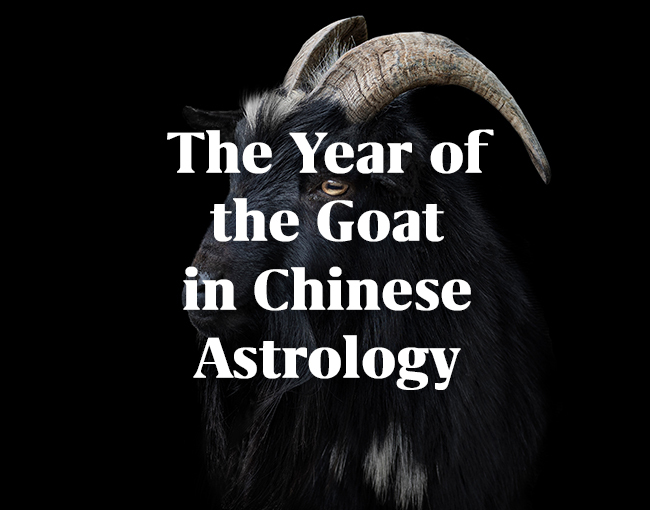 What is the Year of the Snake? | Mysticsense