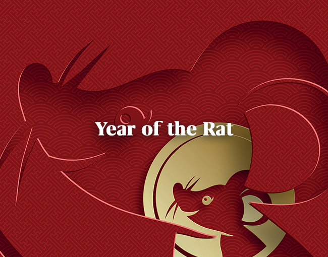 What is the Year of the Rat? | Mysticsense