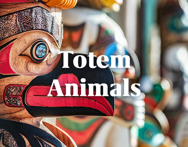 How to Know Your Totem Animal? | Mysitcsense